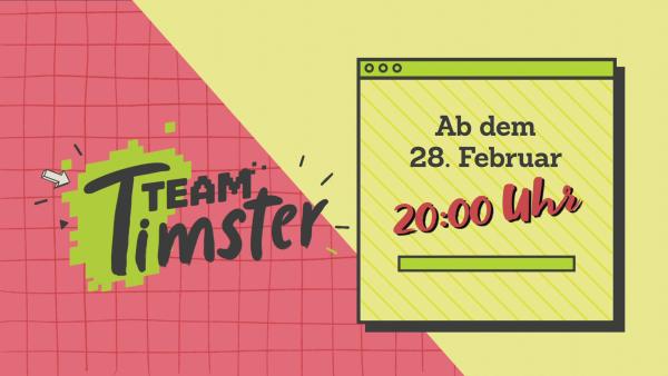 Medien Verstehen Und Mitgestalten Neues Medienmagazin „team Timster